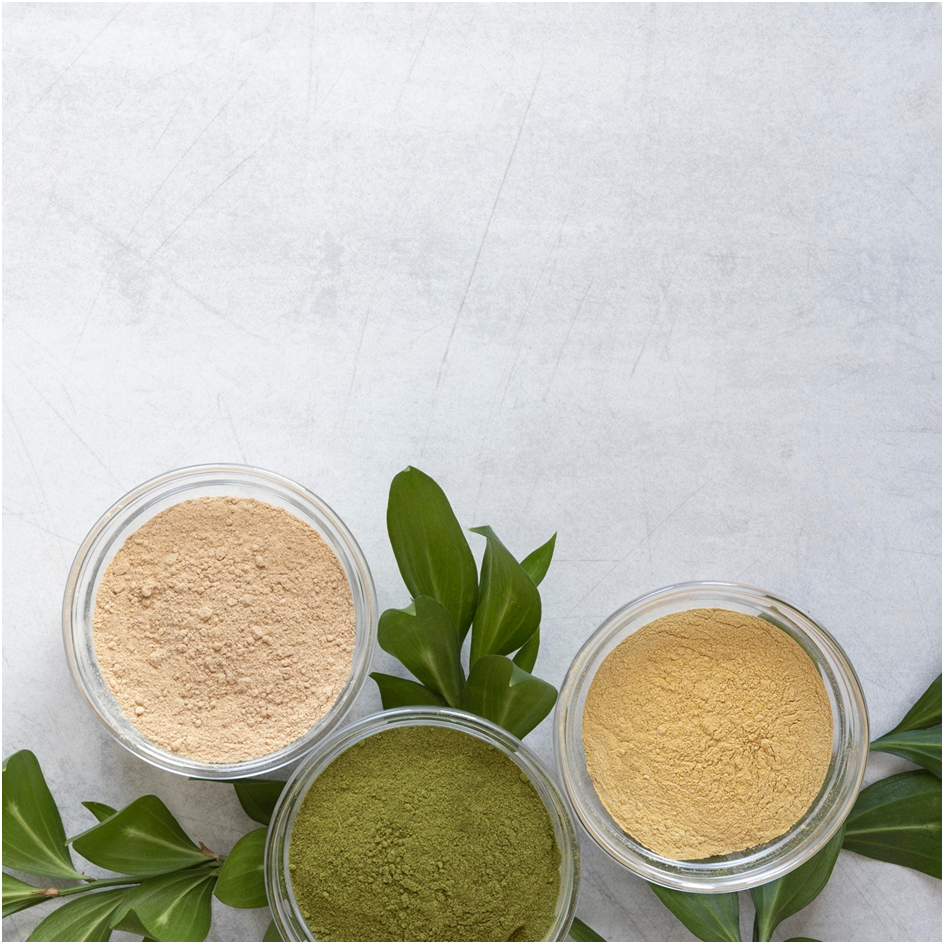 Plant-Based Protein Powders: A Comprehensive Guide - Haachikofitness ...